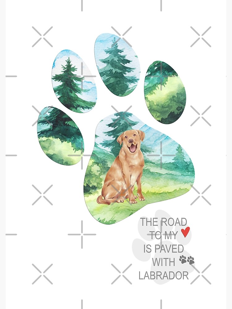 "Golden Labrador Paw Prints" Poster for Sale by Amanda-Lakey | Redbubble