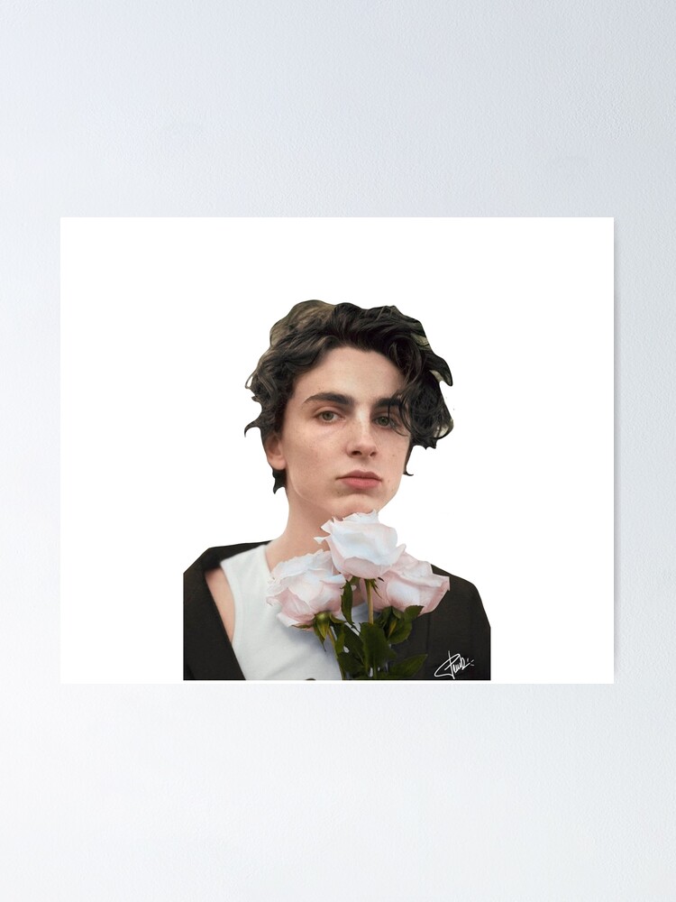 "Timothee Chalamet" Poster by Retrop0lis | Redbubble