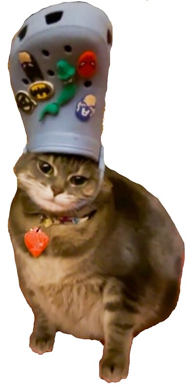 "Croc Cat" by kennedymarie923 | Redbubble