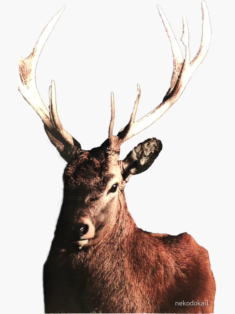 "Buff Deer - Lindy Focus Icon" Sticker for Sale by nekodokai1 | Redbubble