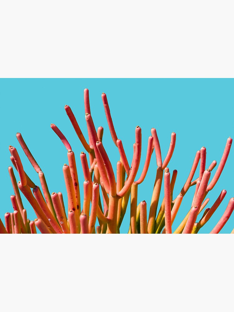 "Fotolia" Sticker for Sale by Dasom | Redbubble