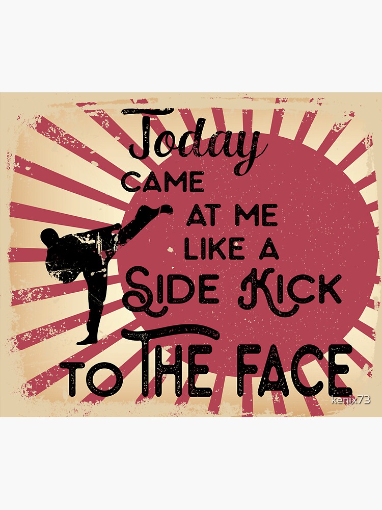 "Kick To the Face Funny Martial Arts" Sticker for Sale by kenix73 ...