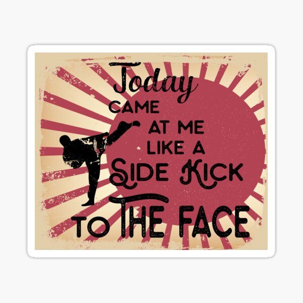 "Kick To the Face Funny Martial Arts" Sticker for Sale by kenix73 ...