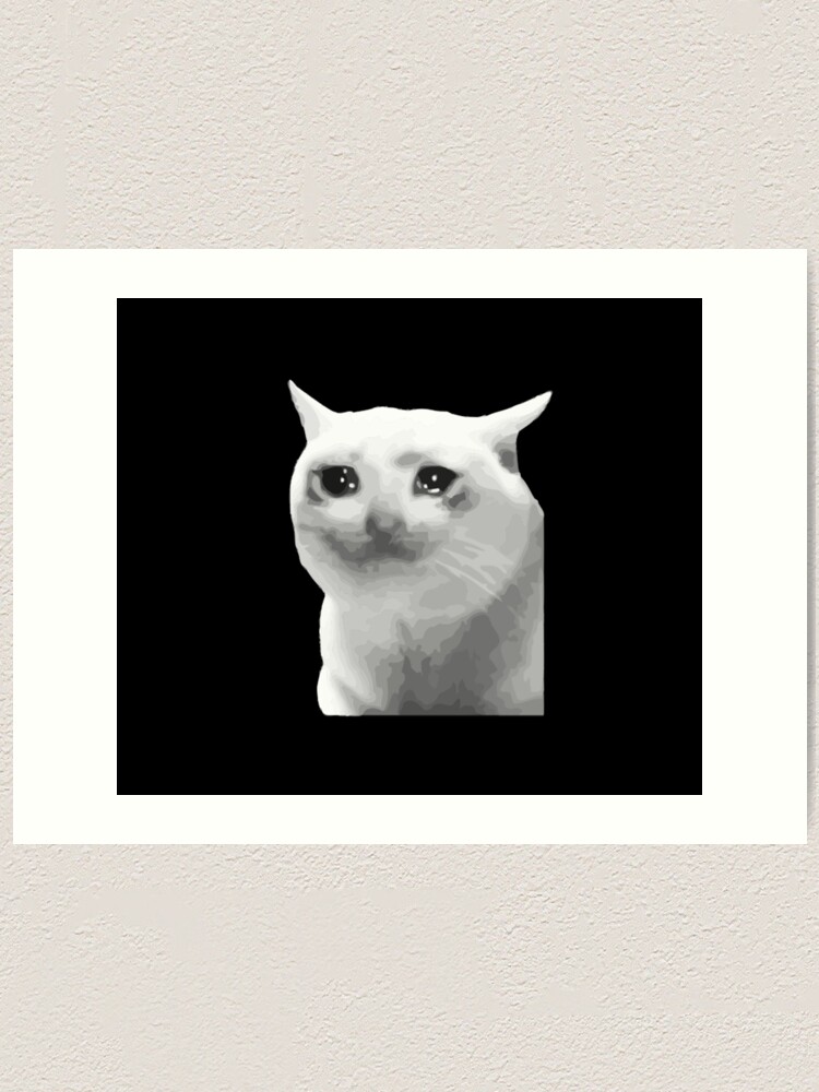 "Crying cat meme" Art Print for Sale by xcxeon | Redbubble