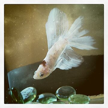 "Edgar I" Art Board Print for Sale by Kevin Bergen | Redbubble