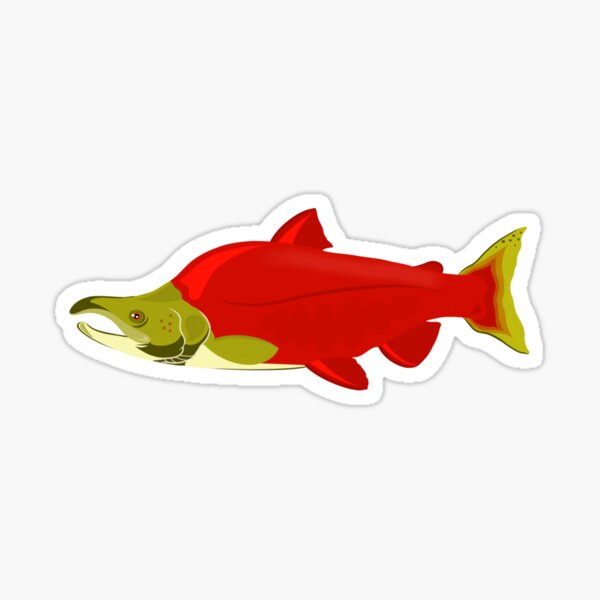 "Alaskan Sockeye Salmon" Sticker for Sale by mkchristner | Redbubble