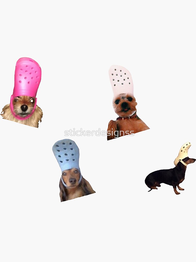 "Croc on dogs sticker pack" Sticker for Sale by stickerdesignss | Redbubble