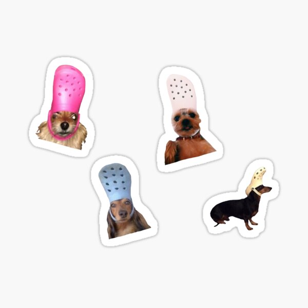 "Croc on dogs sticker pack" Sticker for Sale by stickerdesignss | Redbubble