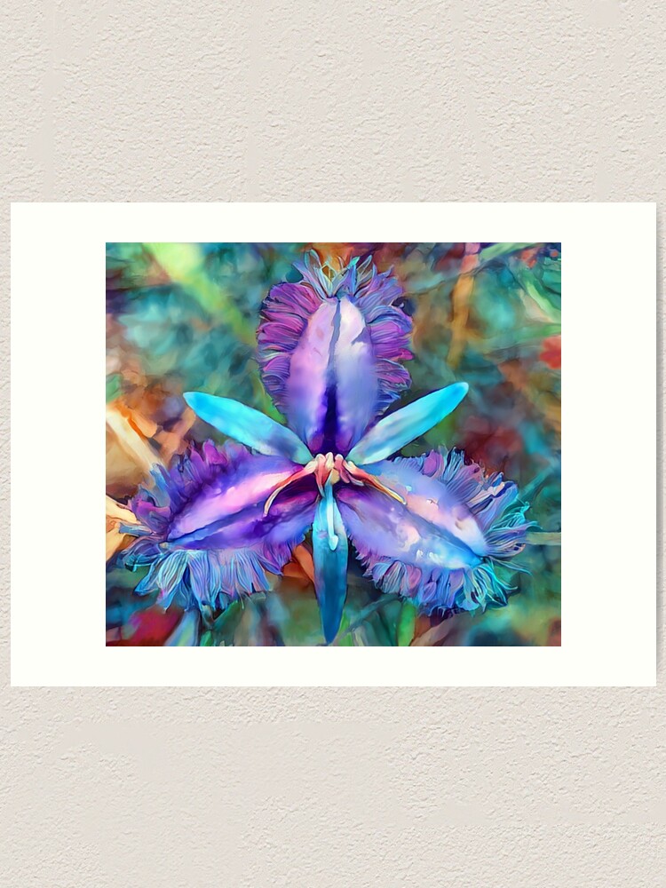 "Australian Native Common Fringed Lily" Art Print by Kestrelle | Redbubble