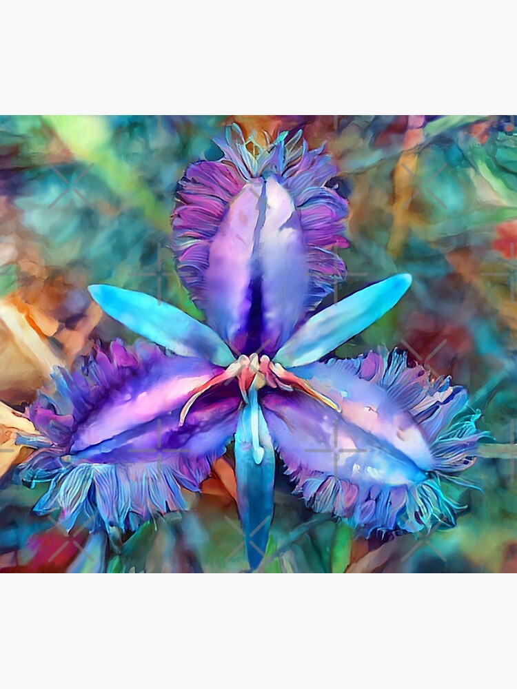 "Australian Native Common Fringed Lily" Art Print by Kestrelle | Redbubble