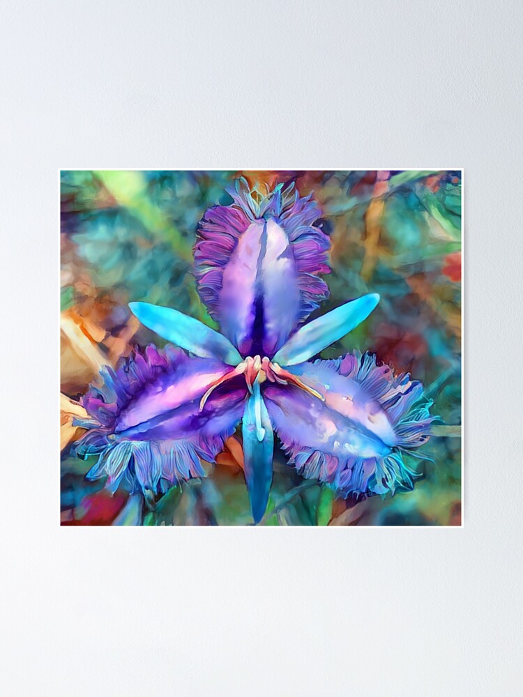 "Australian Native Common Fringed Lily" Poster for Sale by Kestrelle ...