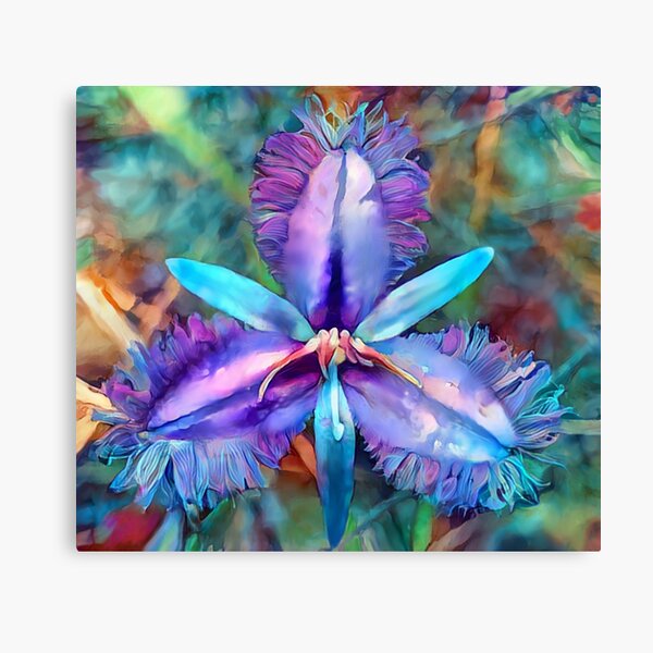 "Australian Native Common Fringed Lily" Canvas Print by Kestrelle ...