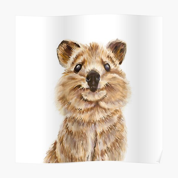 Quokka Posters | Redbubble