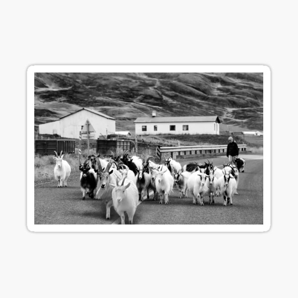 "Þoka Ewe" Sticker by DaogreerEarth | Redbubble