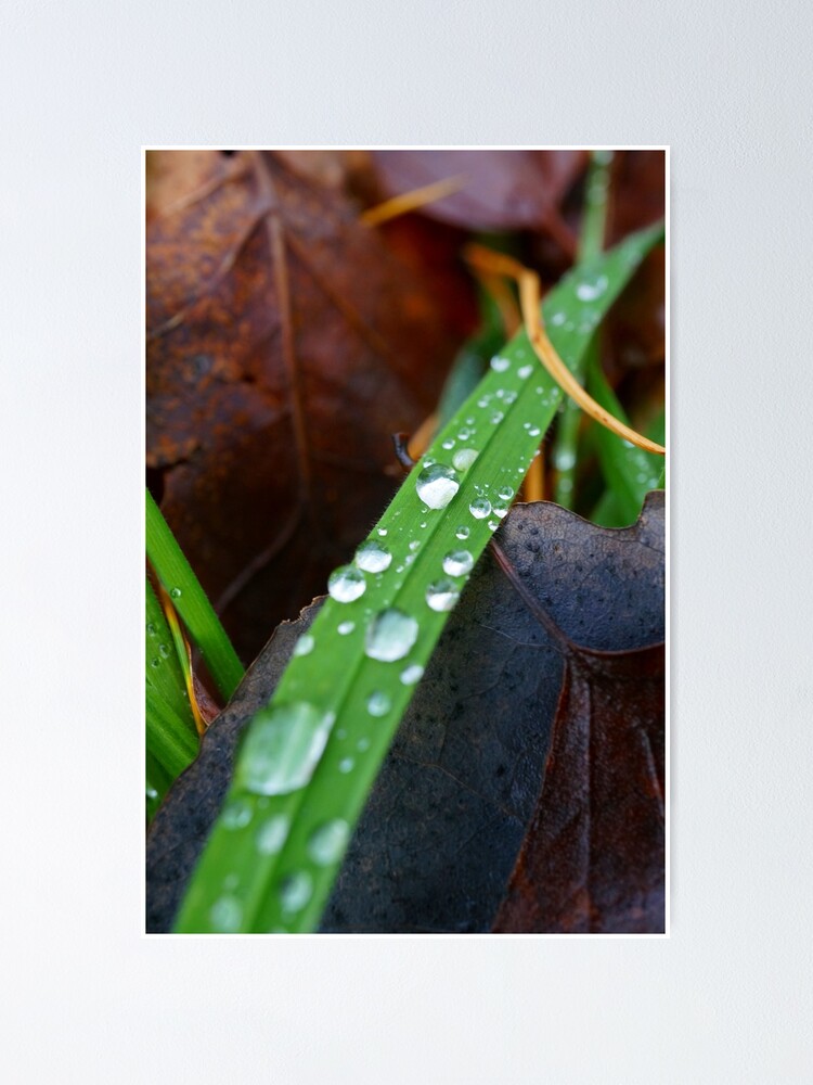 "raindrop" Poster by NuclearSoap | Redbubble