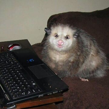 "possum on computer pt 2" Sticker for Sale by penceyspoison | Redbubble