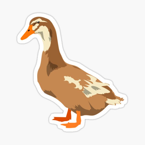 "Saxony Duck - duck sticker, sticker, duck art, duck" Sticker for Sale ...