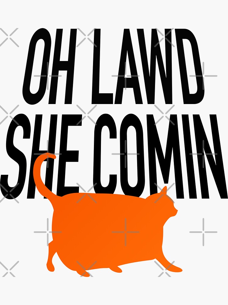 "Oh Lawd She Comin Chonky Lady Cat" Sticker for Sale by memeasaurus | Redbubble