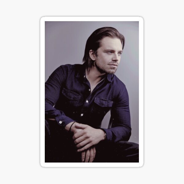 "sebastian stan" Sticker for Sale by blesslarke | Redbubble
