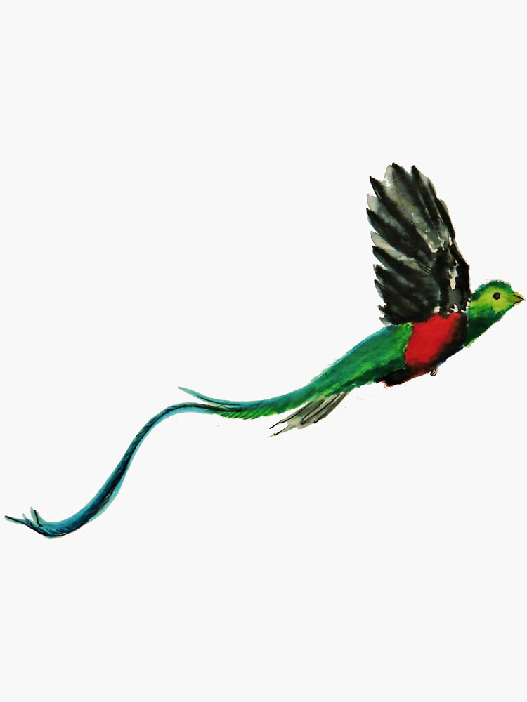 "Costa Rica Quetzal Watercolor " Sticker for Sale by julyperson | Redbubble