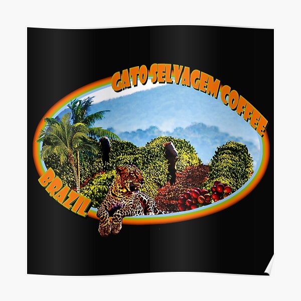 "Wildcat Coffee" Poster for Sale by jdbphotoworks | Redbubble