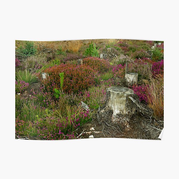 "HEATHER TREE STUMPS" Poster by andrewsaxton | Redbubble
