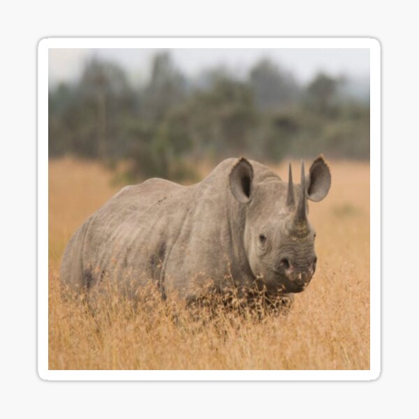 "Saving endangered wildlife" Sticker for Sale by lordballantyne | Redbubble