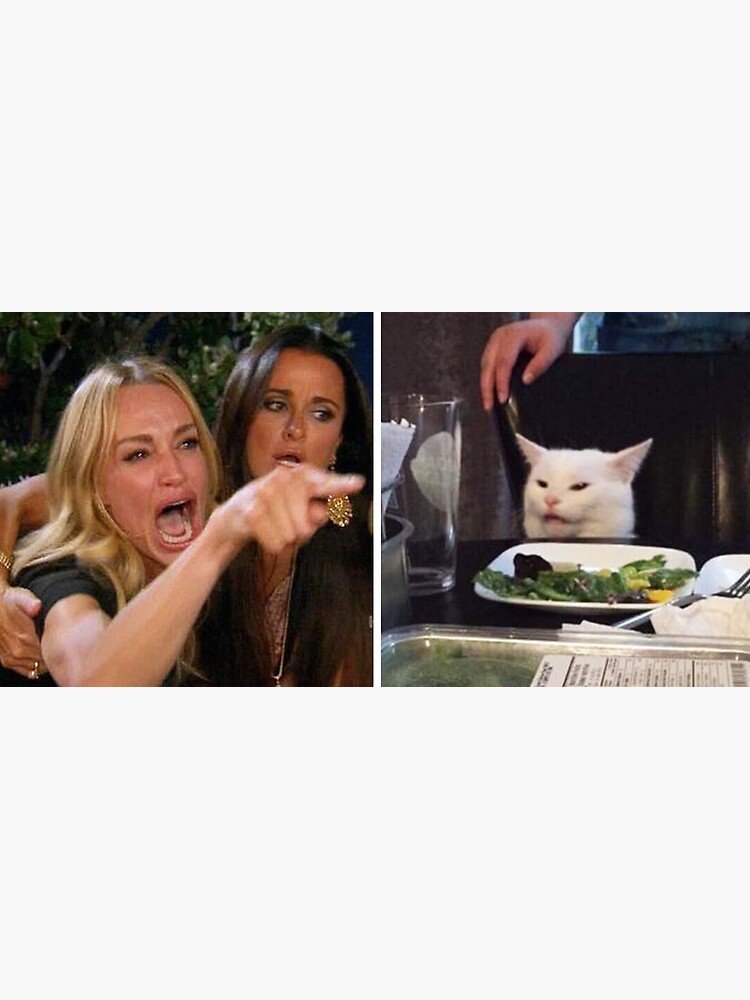 "FAMOUS MEME" Sticker for Sale by ArkanDrakfyr | Redbubble