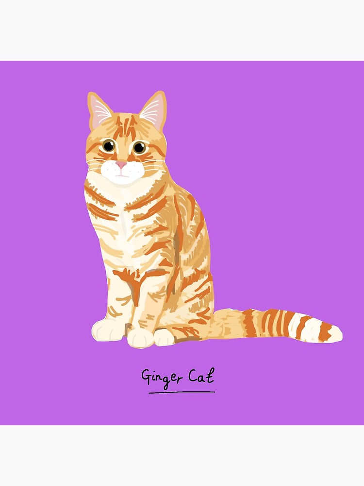 "Ginger Cat Coasters," Coasters (Set of 4) for Sale by Violet jj ...