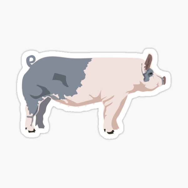 "Blue Butt Pig - pig sticker, pig, pig illustration, pig art, farm art ...