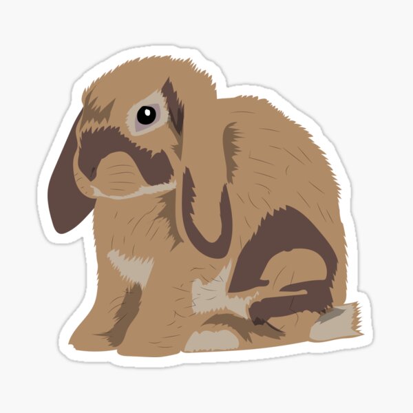 Mini Lop Stickers | Redbubble