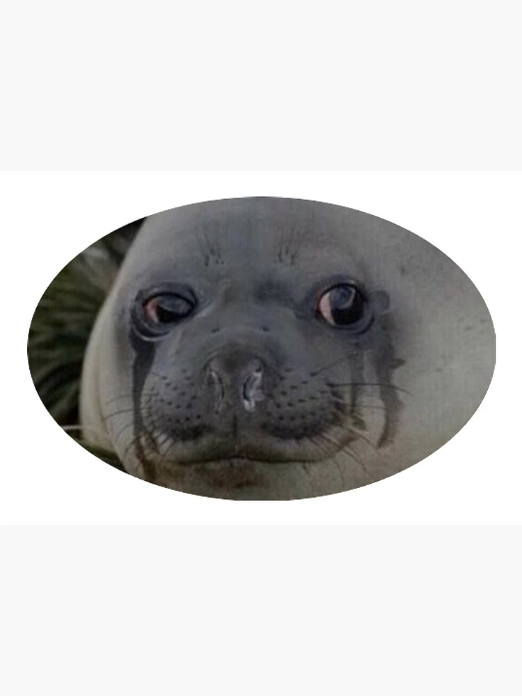 Seal Cries