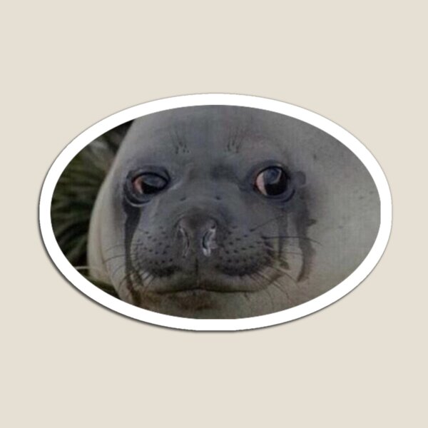 Foca Llorando Memes Página 4 Plantillas De Memes Gratis Y