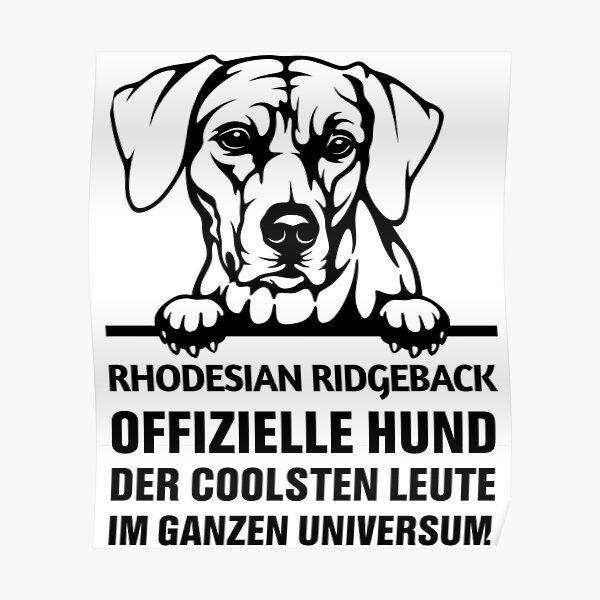 "Rhodesian Ridgeback saying cute cool" Poster by 1681830934131 | Redbubble