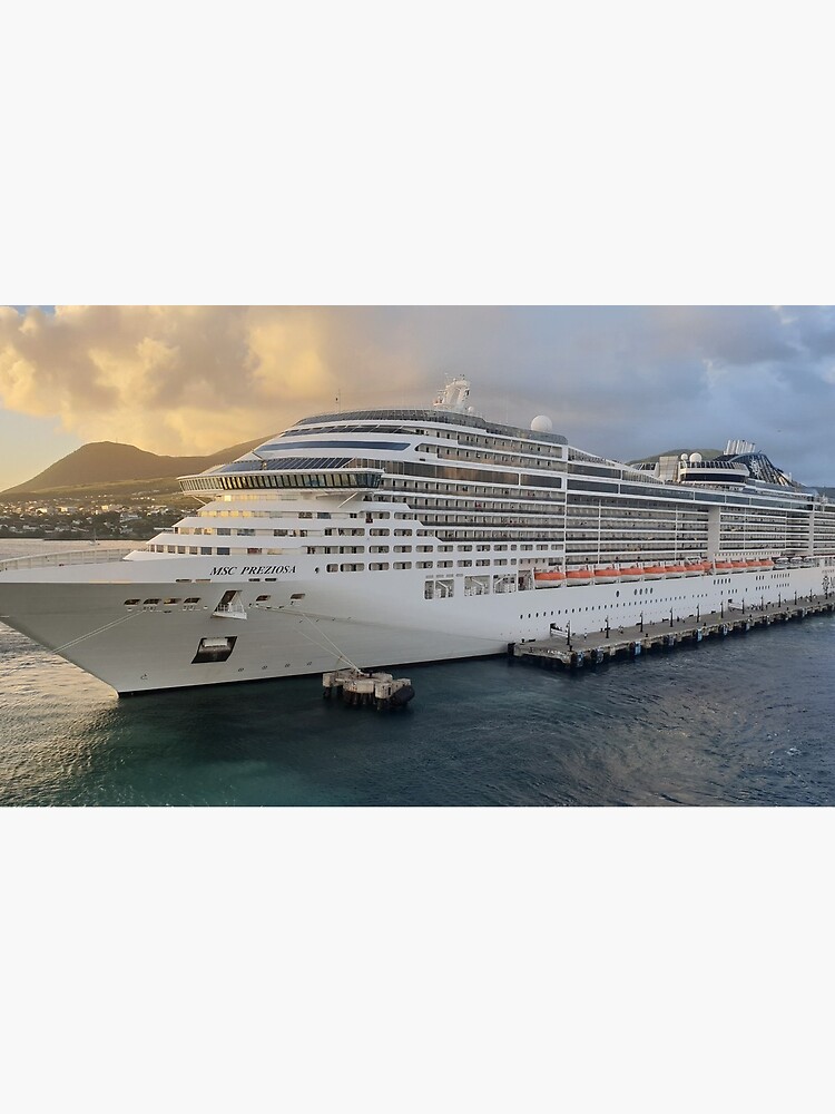 Msc Merch & Gifts for Sale | Redbubble