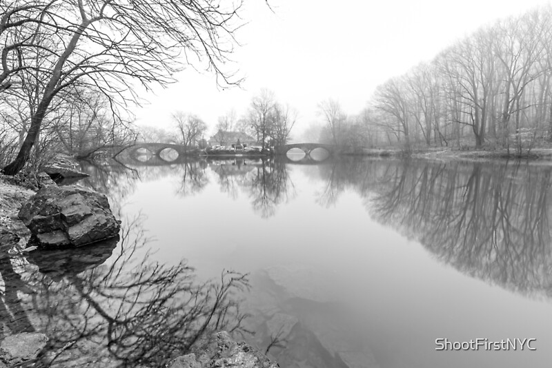 "Double Bridges - Clove Lakes" by ShootFirstNYC | Redbubble