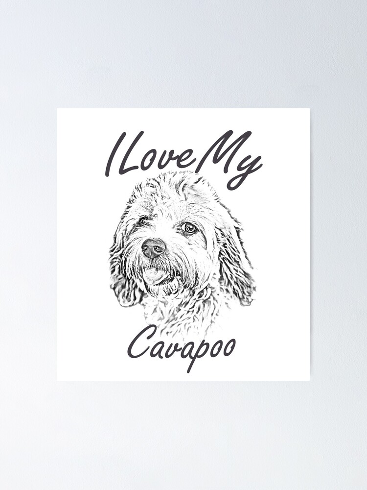 "I Love My Cavapoo" Poster by SadSacDesigns | Redbubble