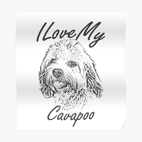 "I Love My Cavapoo" Poster by SadSacDesigns | Redbubble