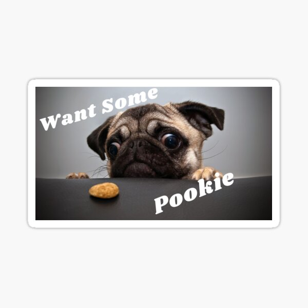 "Want some pookie" Sticker for Sale by tedicuko | Redbubble