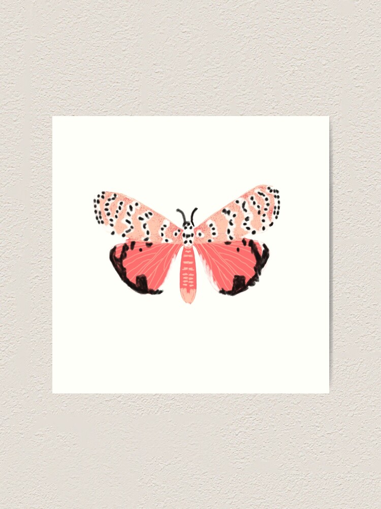 "pink Tiger Moth sticker, moth art, pink moth, lepidoptery, moths, moth ...