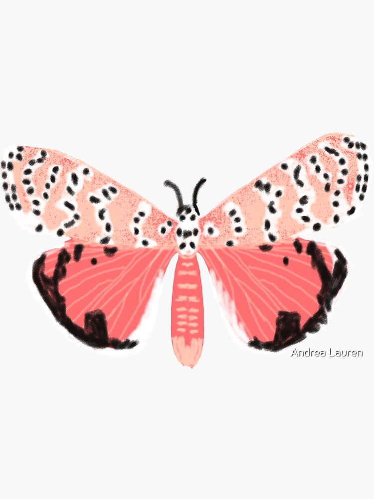 Pink Tiger Moth Sticker Moth Art Pink Moth Lepidoptery Moths Moth Witch Sticker