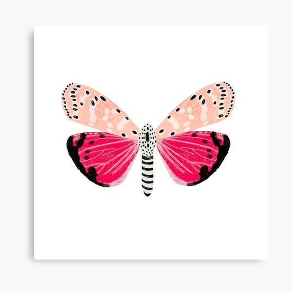 " Pink Moth sticker, moth art, pink moth, lepidoptery, moths, moth ...