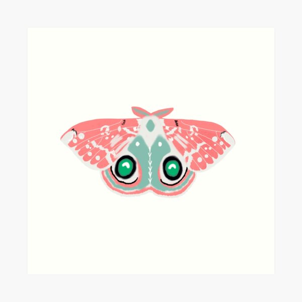 "Pink green Moth sticker, moth art, pink moth, lepidoptery, moths, moth ...