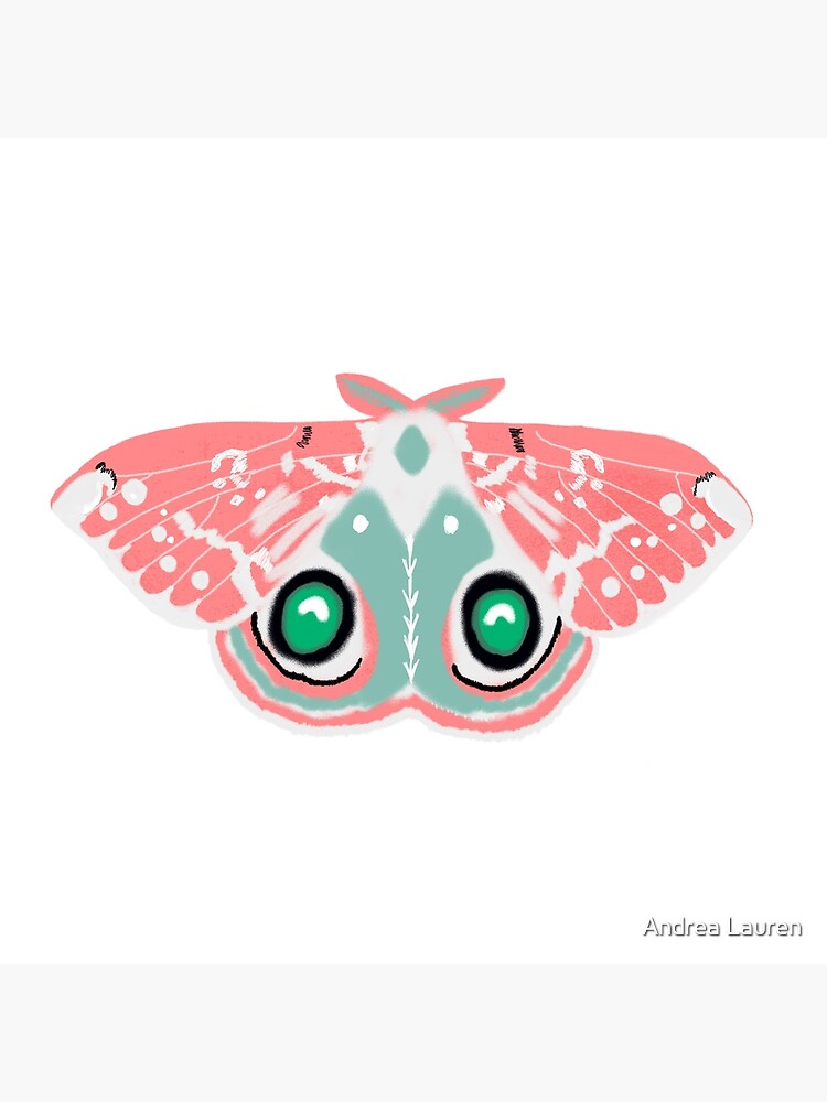 "Pink green Moth sticker, moth art, pink moth, lepidoptery, moths, moth ...