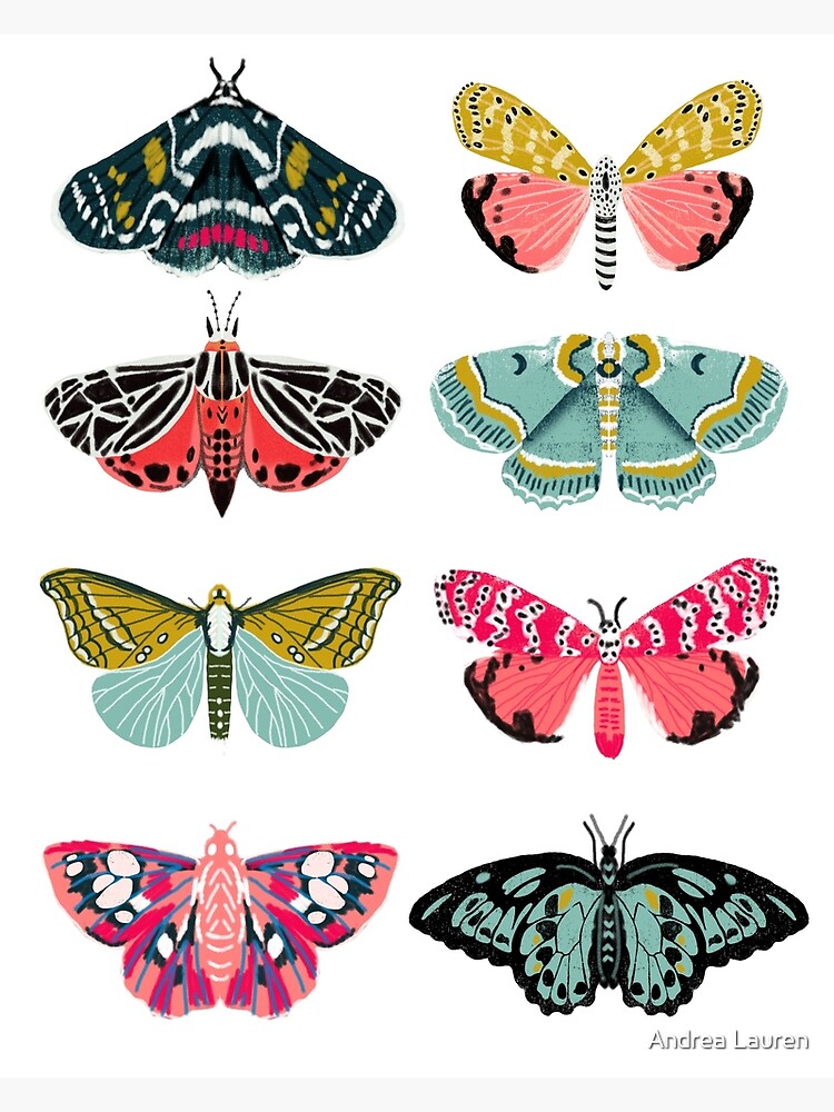 Moths and Butterflies - moth sticker pack, butterfly sticker pack, moth ...