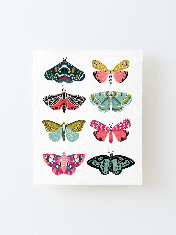 Paper & Party Supplies Stickers, Labels & Tags Moth Sticker Pack ...