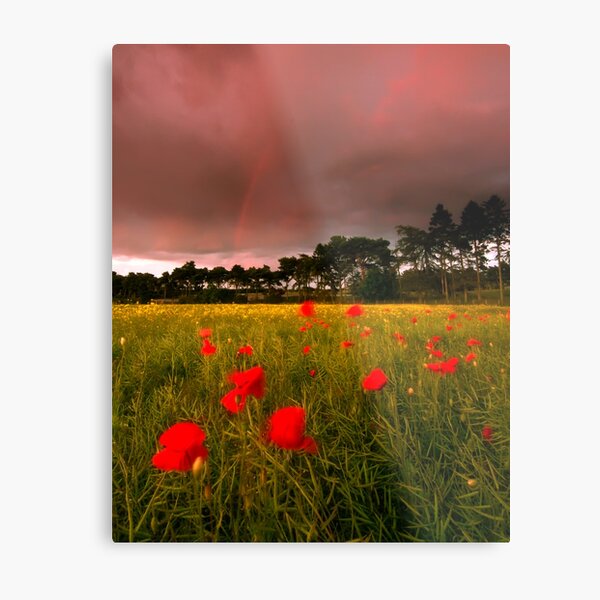 james thow Shop | Redbubble