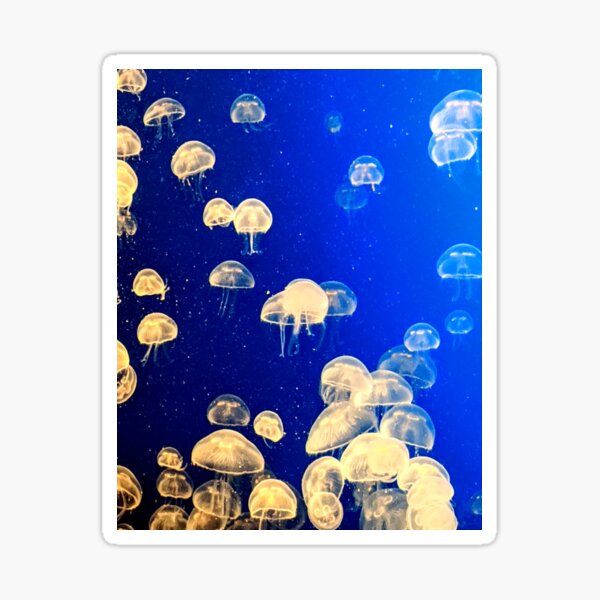 "Moon Jellies" Sticker for Sale by hedarra | Redbubble