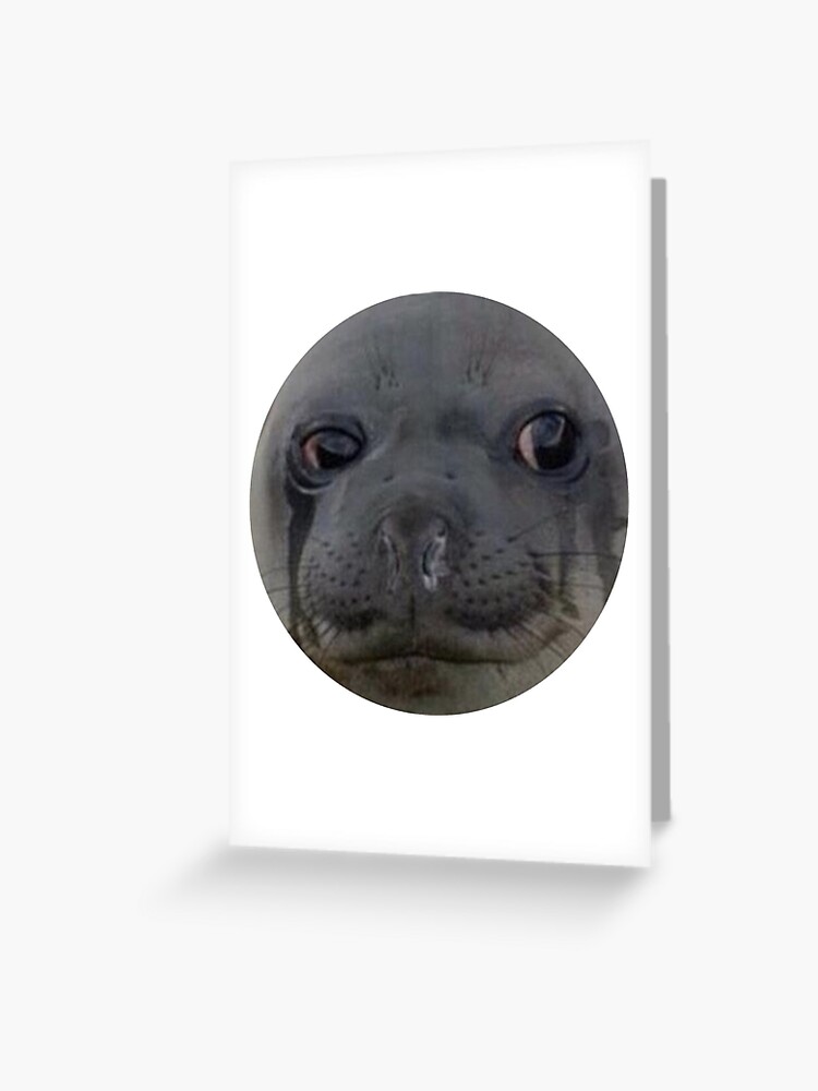 Foca Llorando Memes Página 4 Plantillas De Memes Gratis Y