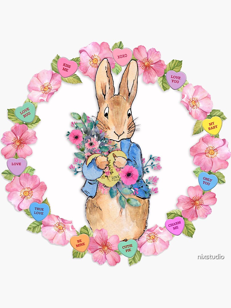 "Peter Rabbit Bunny Valentine with Candy Hearts and Love Messages on ...